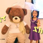 The Christmas Family Platter at Seda Capitol Central | Bacolod Hotel